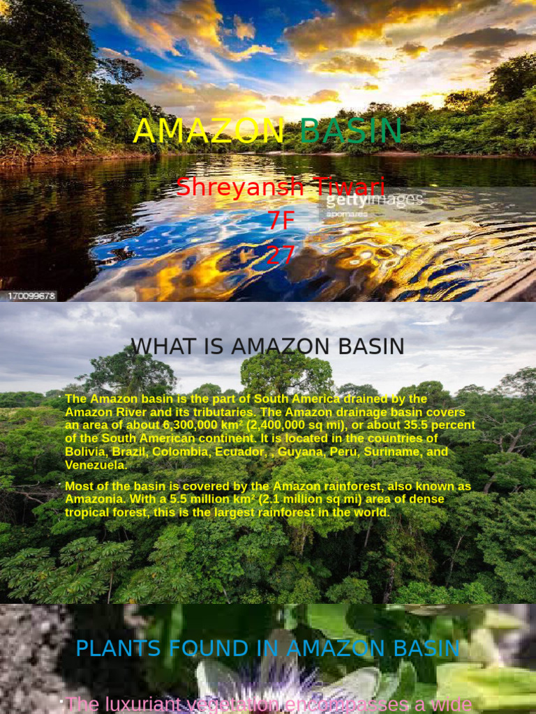 Amazon Basin - PPTX SHREYANSH | PDF | Amazon Rainforest | Rainforest