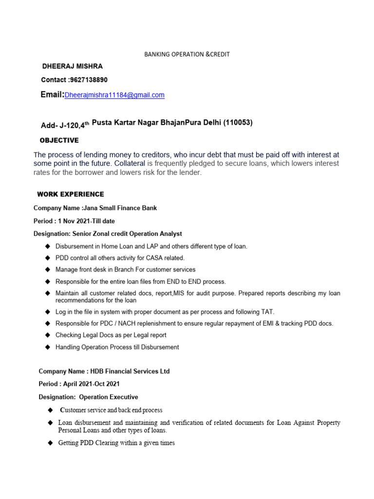 Dheeraj Mishra CV | PDF | Loans | Credit