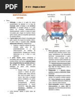 Pelve e Períneo | PDF | Pélvis | Anatomia