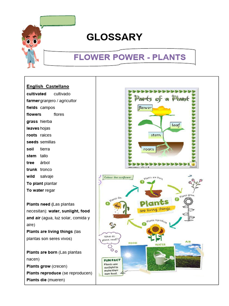 CCNN Unit 4 Extra Flower Power | PDF