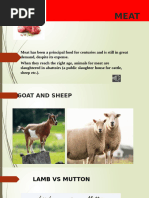 Meat Structure | PDF | Connective Tissue | Meat