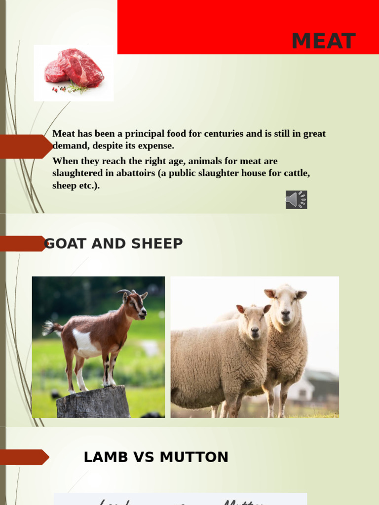 Meat Lesson 2 (Structure of Meat, Types of Meat) | PDF | Meat | Lamb ...