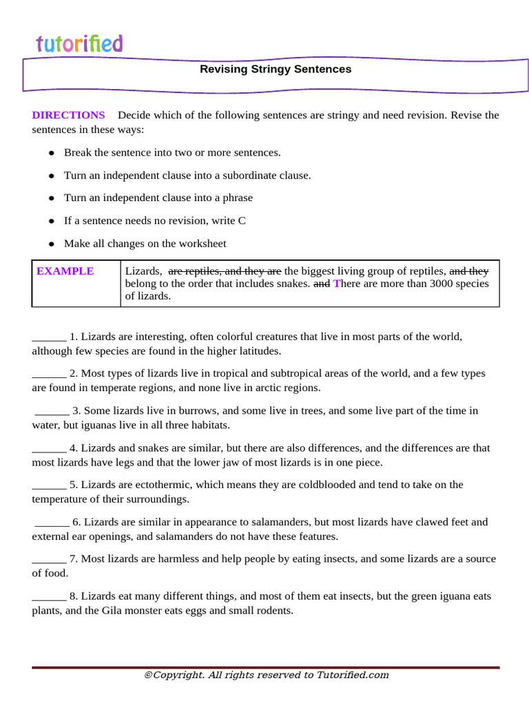 Revising Stringy Sentences | PDF | Lizard | Snake