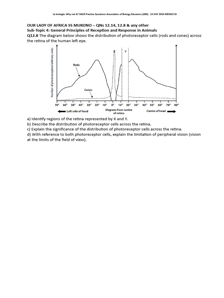 Our Lady of Africa Ss Mukono | PDF | Neuron | Action Potential