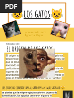 Texto Expositivo El Gato | PDF