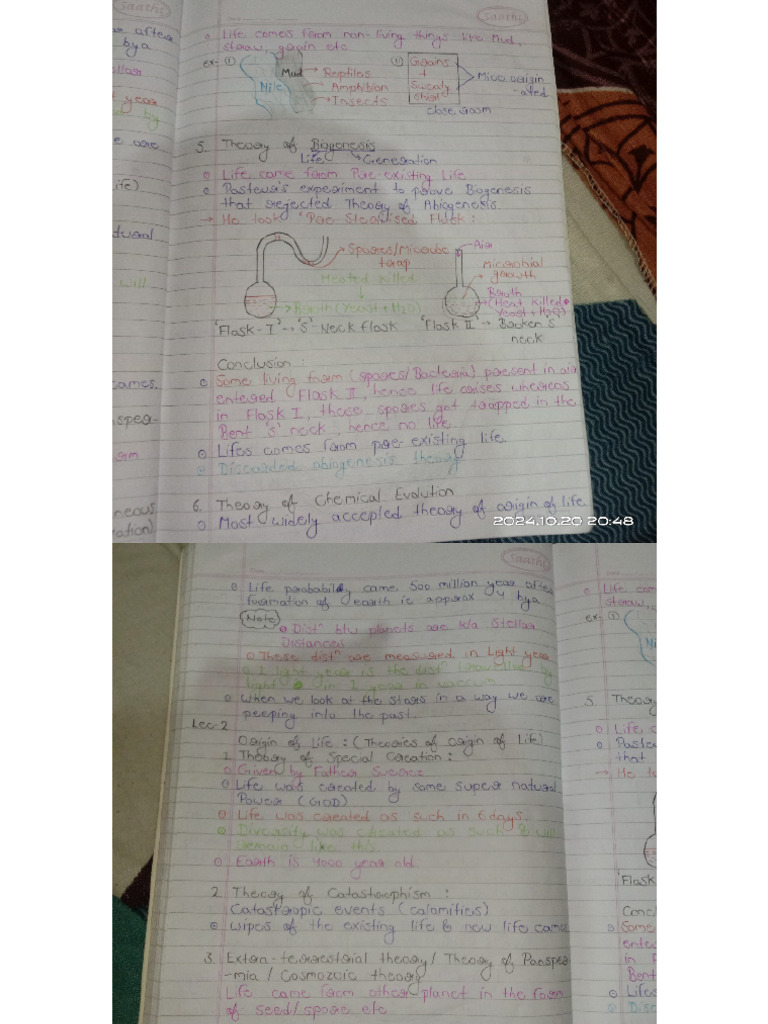 Evolution Class 12 Biology Class Notes | PDF