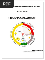 Menstrual Cycle Graph | PDF