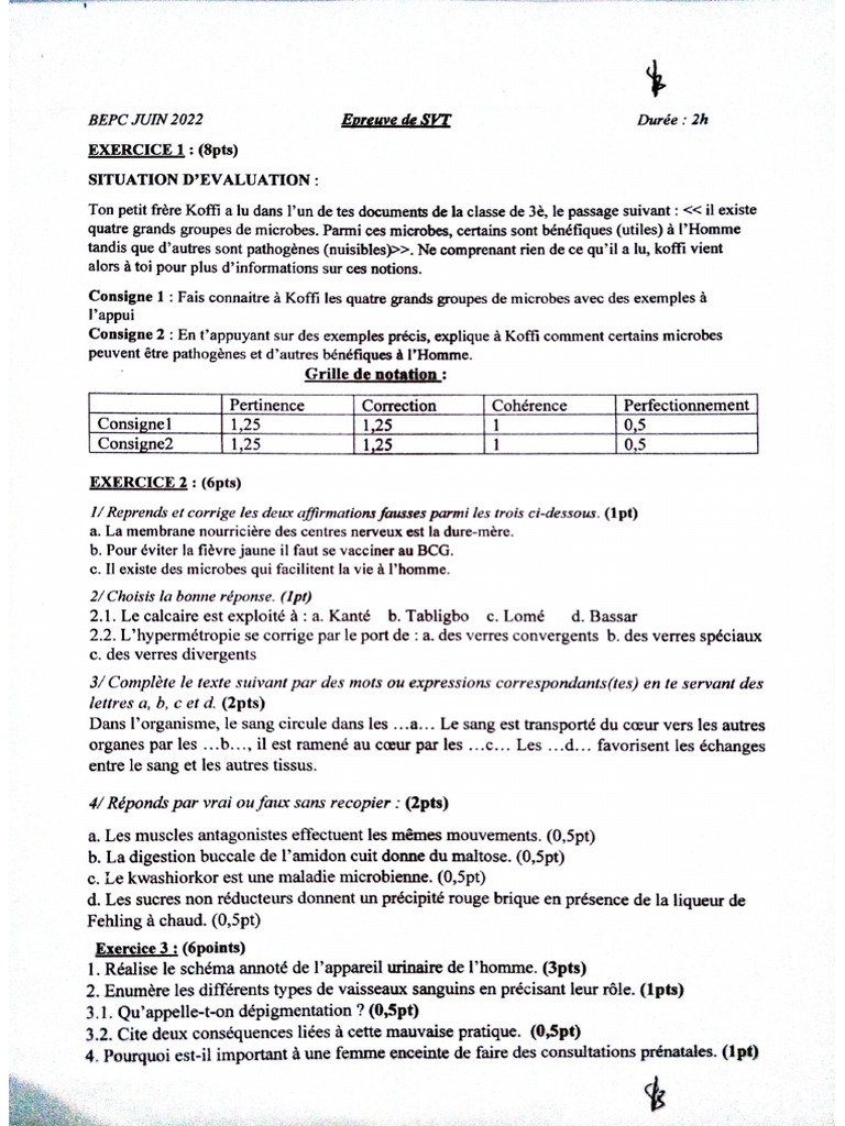 Bepc 2022 Session Normale | PDF