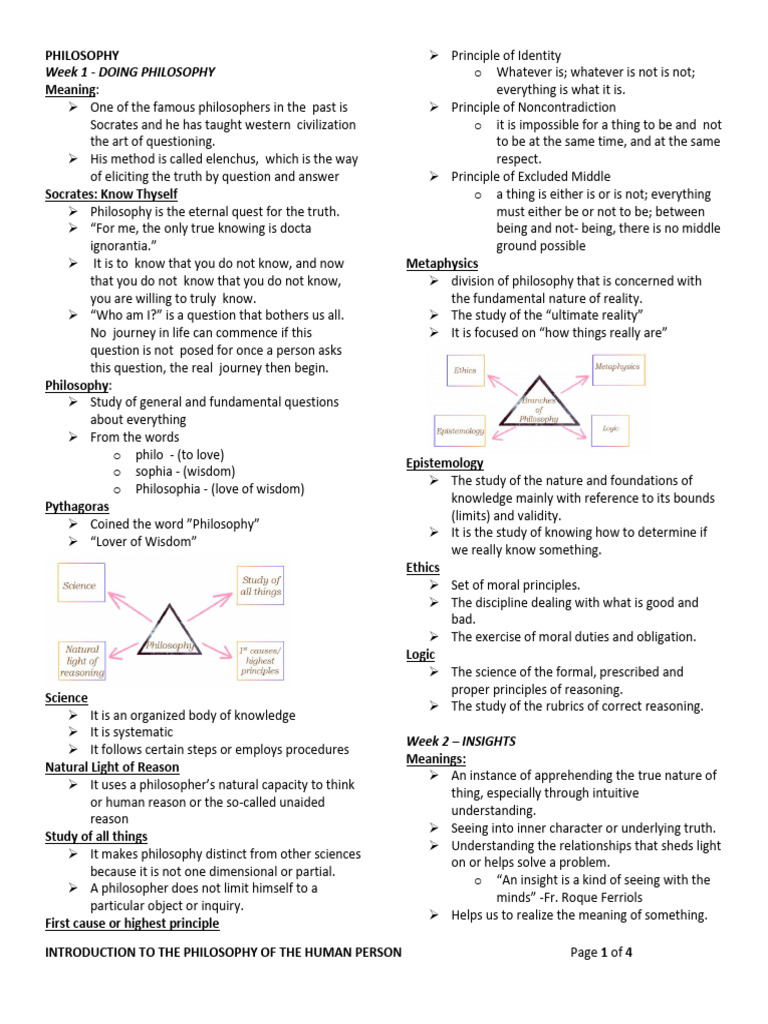 Grade 12 Philosophy: Human Person Insights | PDF | Reason ...
