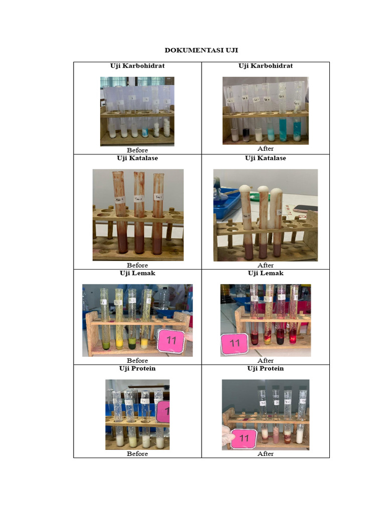 DOKUMENTASI UJI ENZIM | PDF