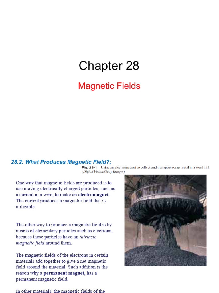 Principle of Physics 11th ch28 | PDF | Magnetic Field | Force
