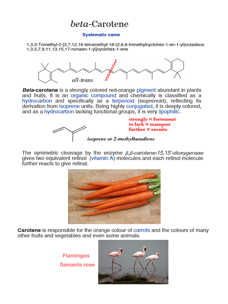 Beta Carotene | PDF | Science & Mathematics