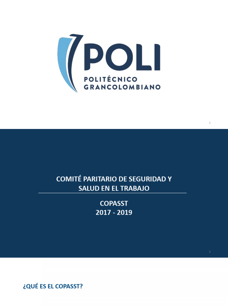 Funciones del COPASST 2017-2019 | PDF | Seguridad y salud ocupacional ...
