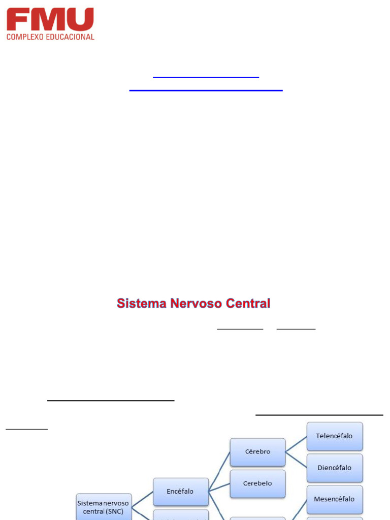 Aula 3 - Encéfalo e Tronco Encefálico | PDF | Cérebro | Nervo