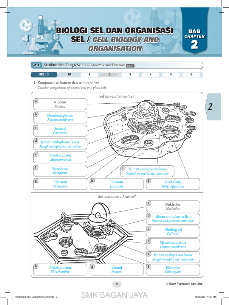 Bio Answers f4 | PDF