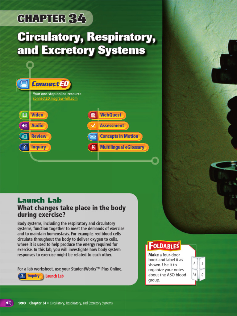 34 Circulatory Respiratory and Excretory Systems PP 990-1017 | PDF ...
