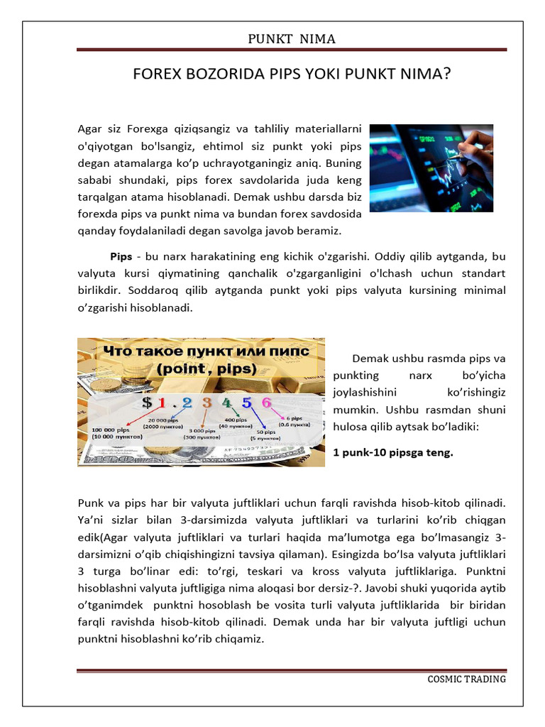 5-Dars. Punkt Nima | PDF