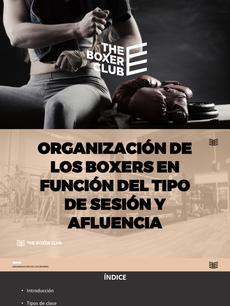 Organización de Los Boxers Durante La Sesión | PDF | Boxer (Perro)