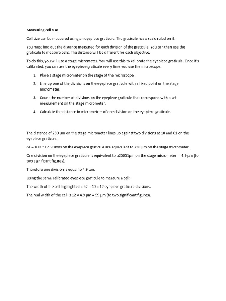 Measuring Cell Size Note PDF | PDF | Technology & Engineering