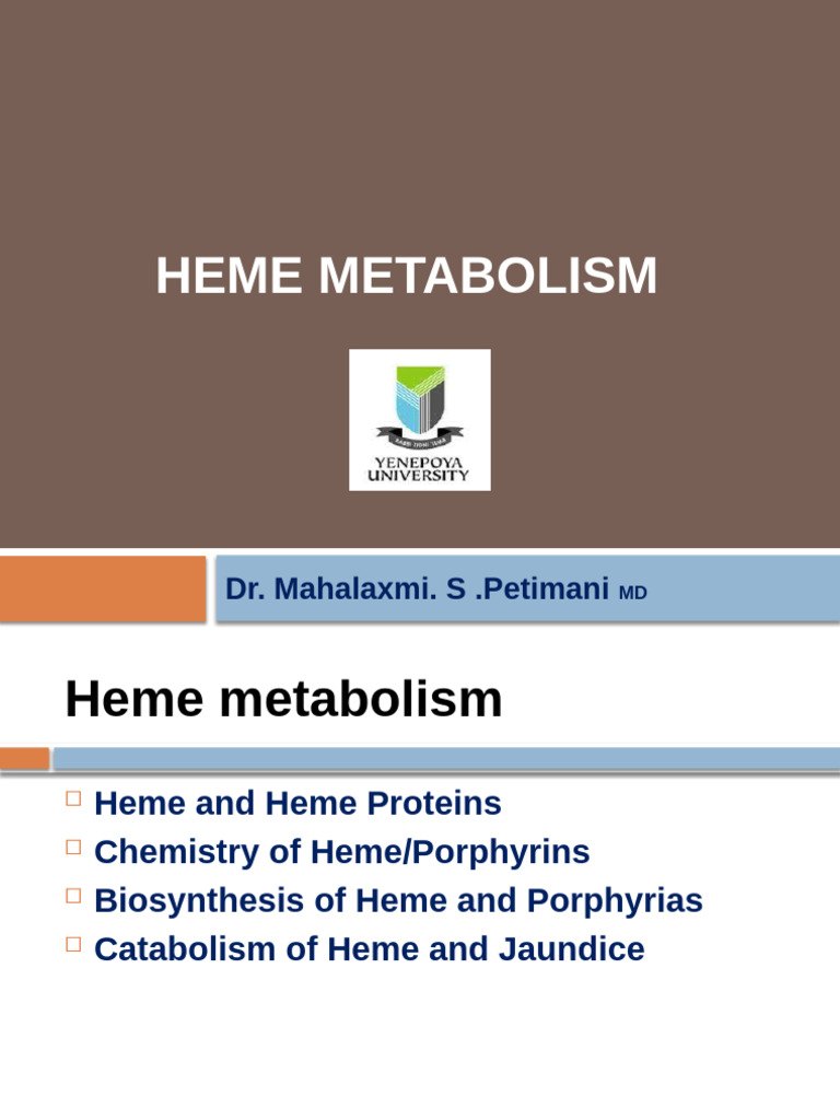 Heme Metabolism - Pptxmbbs | PDF