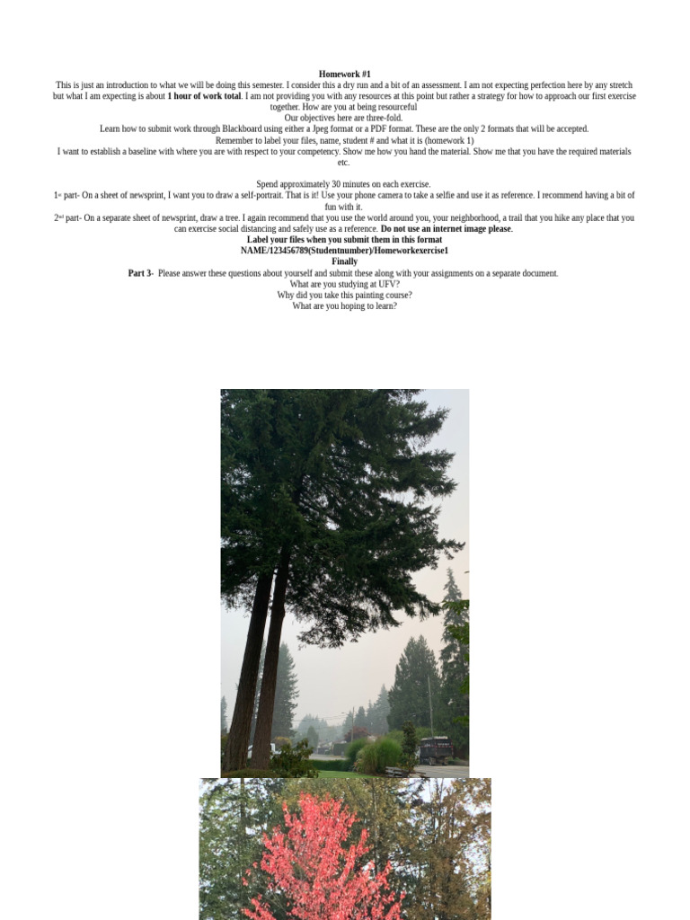 Homework Exercise 1 | PDF | Homework