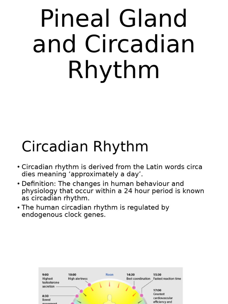 Pineal Gland and Circadian Rhythm | PDF | Science & Mathematics