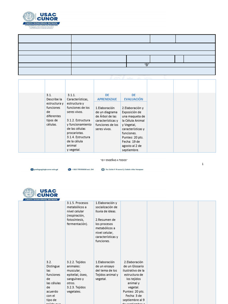 PDF PLAN DE UNIDAD CIENCIAS NATURALES | PDF | Evaluación | Enseñando