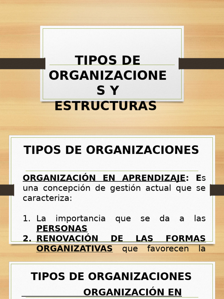 06+Tipos+de+Organizacipones+y+de+EStructuras | PDF | Aprendizaje | Business