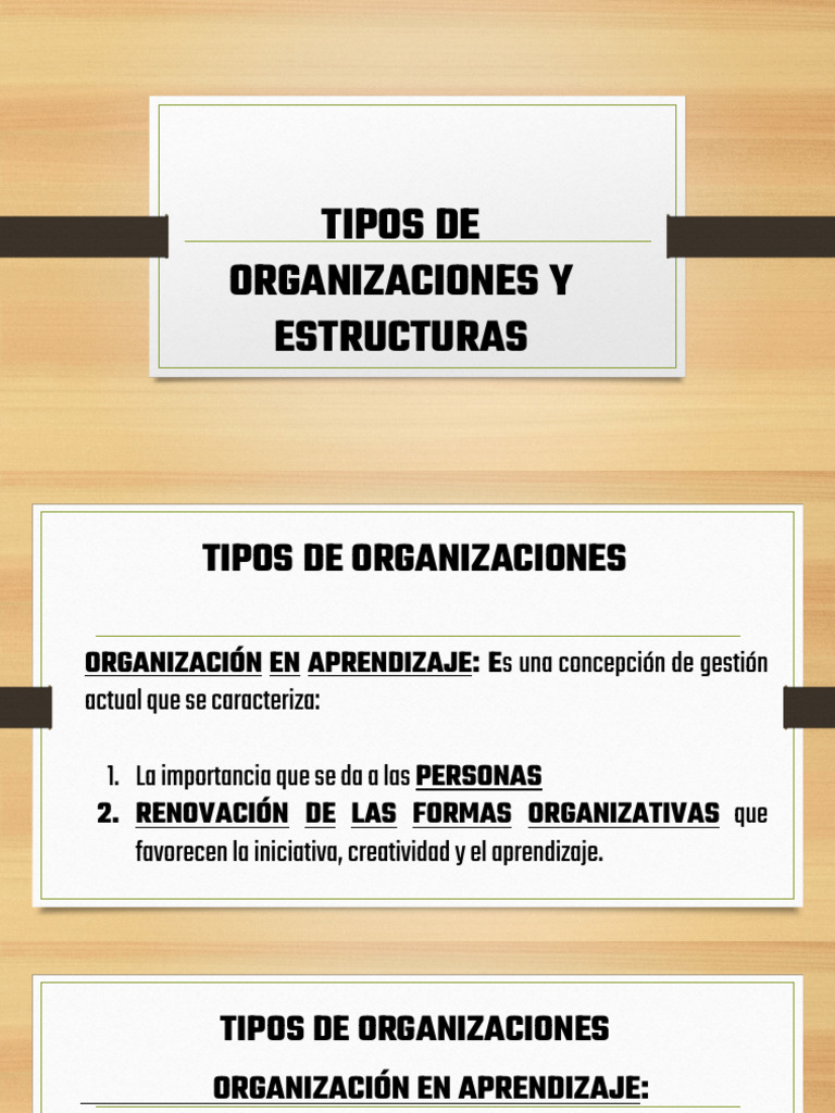 Tipos de Organizaciones y Estructuras | PDF | Aprendizaje | Business