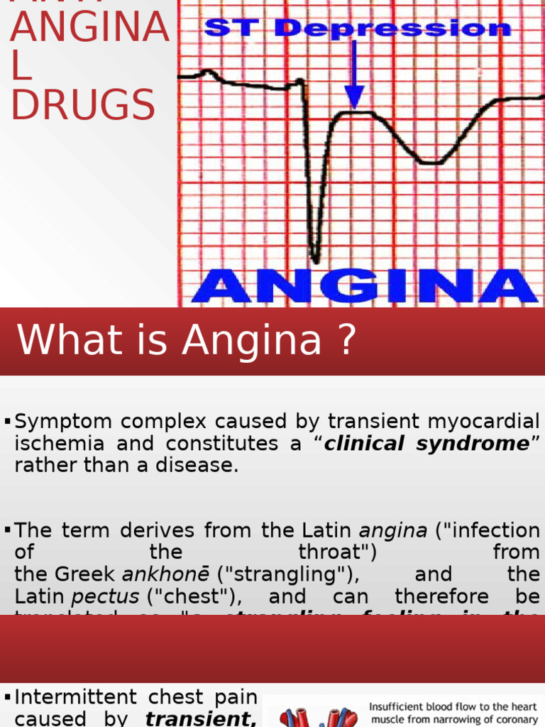 Anti Anginal | PDF | Coronary Artery Disease | Cardiovascular System