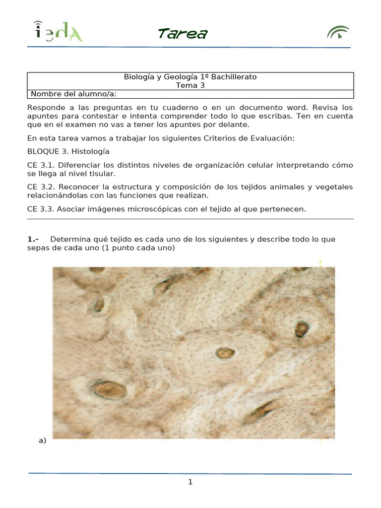 1º Bach ByG Tarea Tema 3 | PDF | Informática | Tecnología