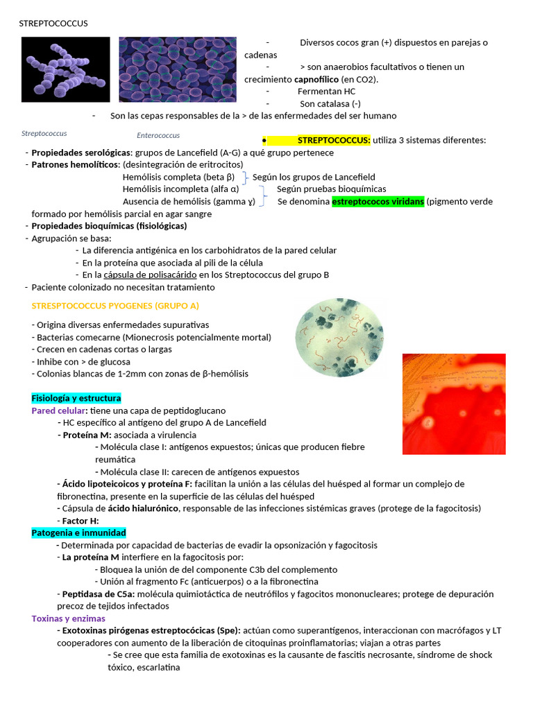 STREPTOCOCCUS y ENTEROCOCCUS | PDF | Estreptococo | Penicilina
