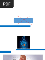 Systen-Conti Bula | PDF | Câncer | Gravidez