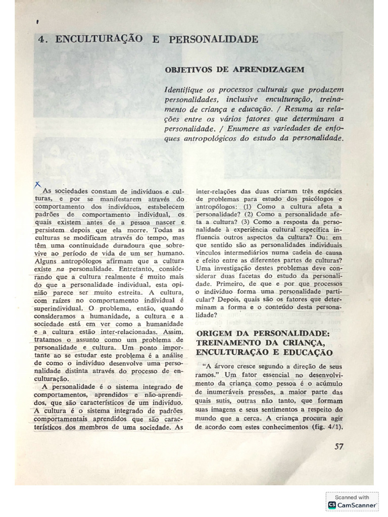 Antropologia Cultural e Social | PDF