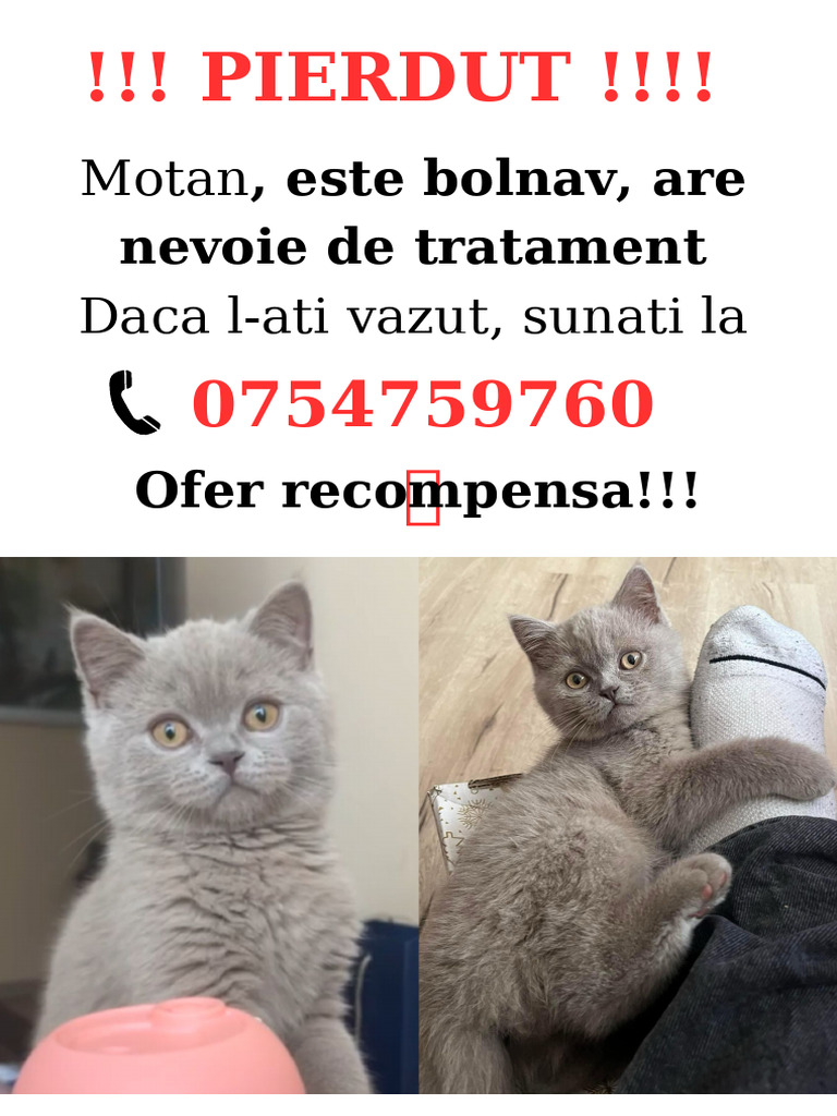 Adaugă Un Subtitlu | PDF