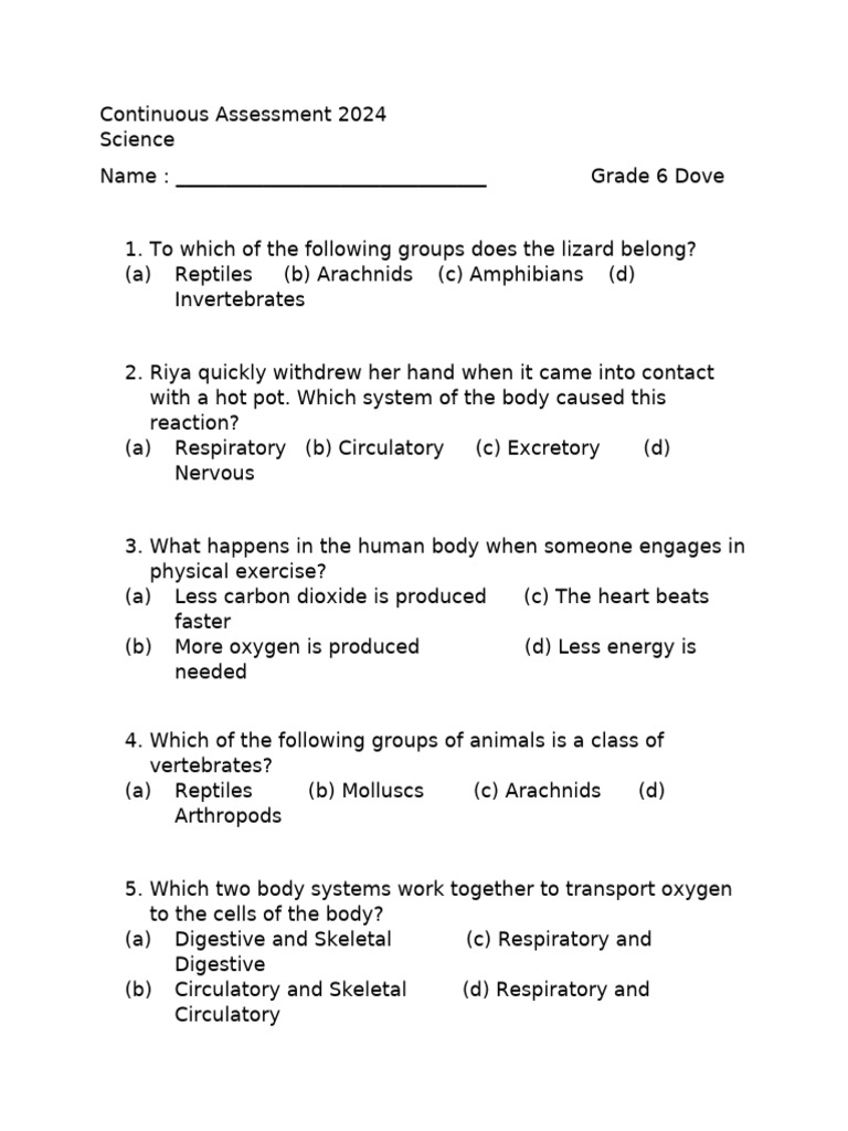 Continuous Assessment Science | PDF | Respiratory System | Lung