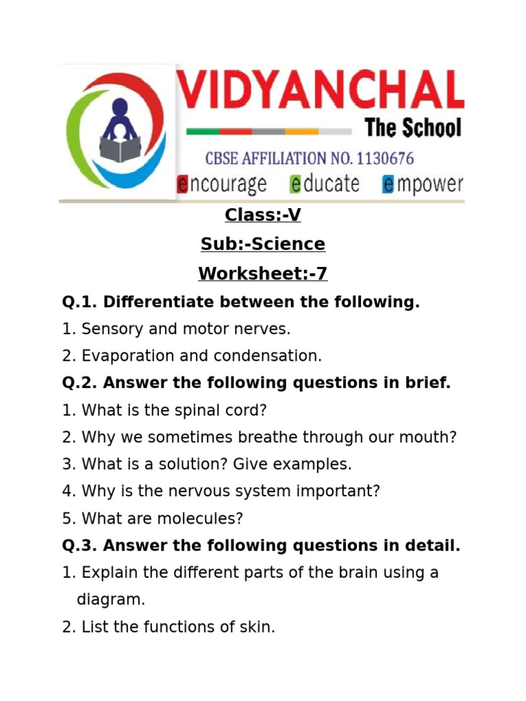 Class 5 Science Worksheet on Nerves and Changes | PDF | Science ...