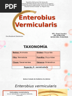 Oxiuros | PDF | Especialidades Medicas | Enfermedades y trastornos