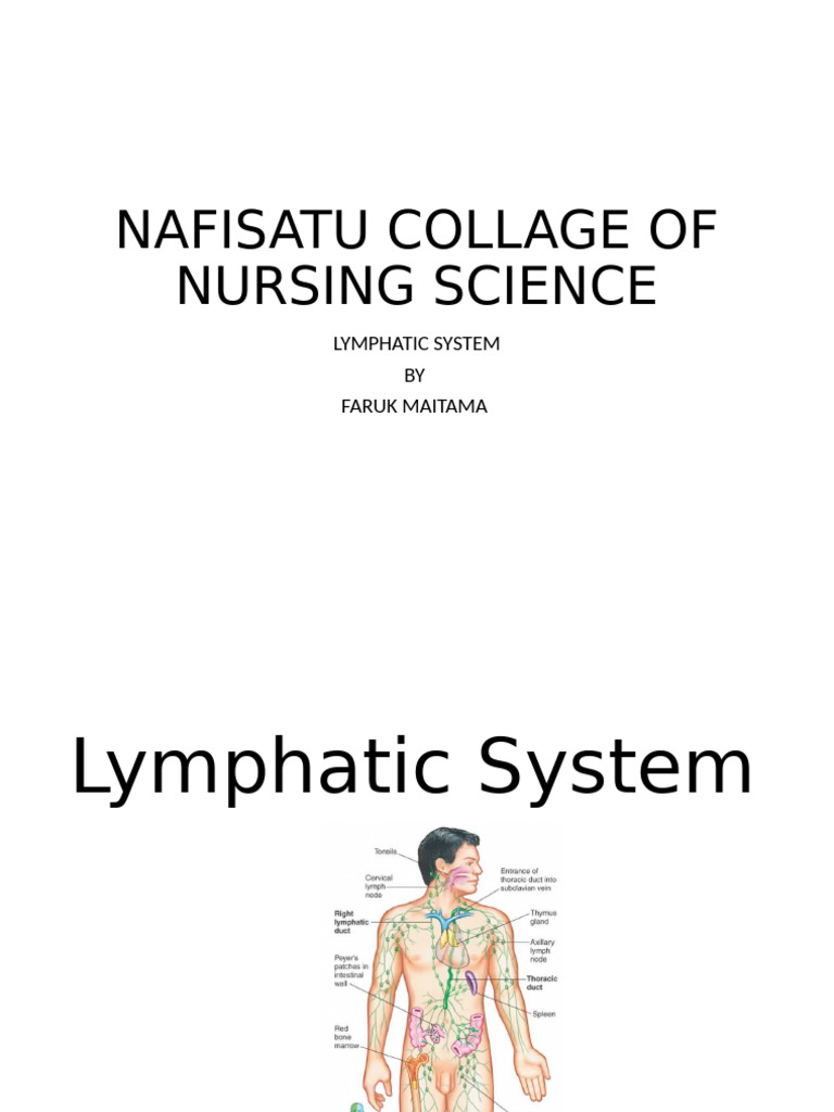 Lymphatic System Overview and Functions | PDF | Lymph | Lymphatic System