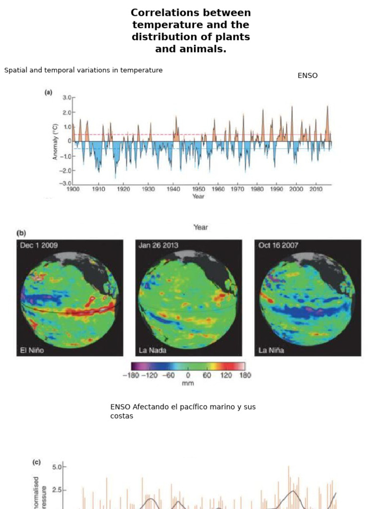 Spatial and Temporal Variations in Temperature | PDF