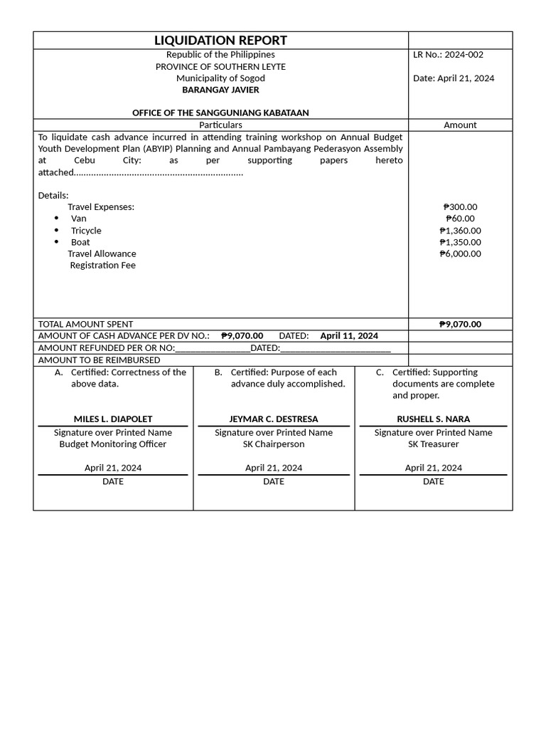 Liquidation Report | PDF