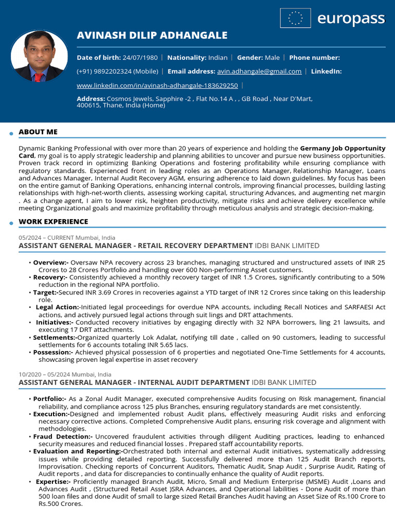 Europass CV Avinash | PDF | Audit | Banks