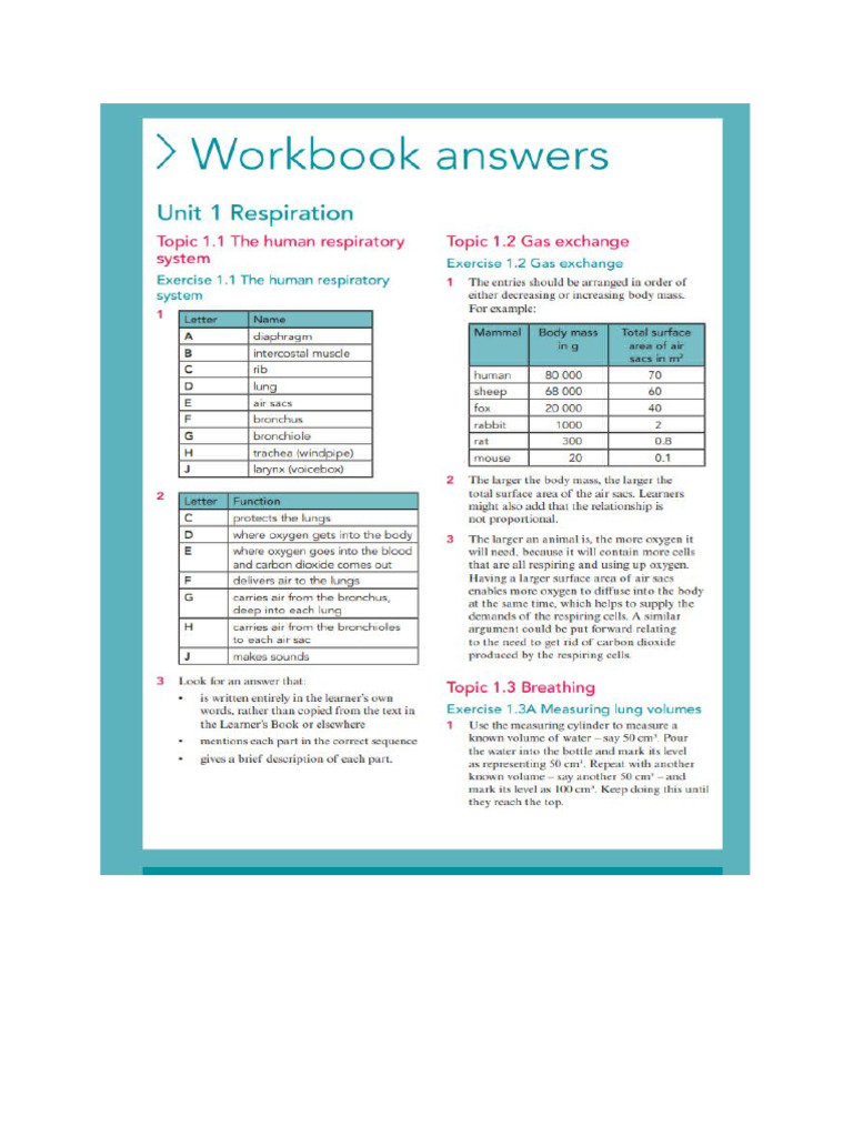 G-7 UNit-1 Answer Key | PDF