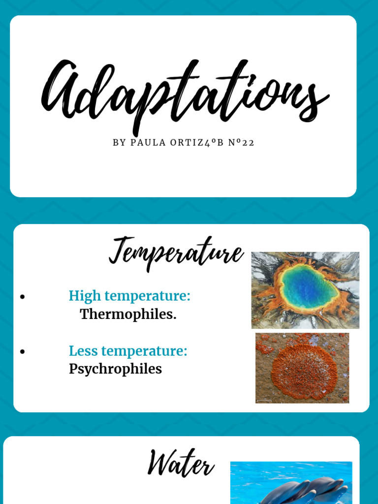 Adaptations | PDF