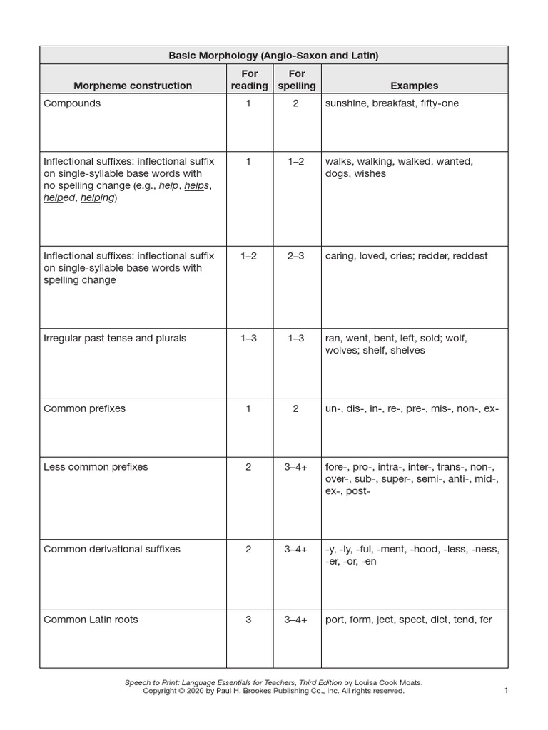 Basic Morphology Anglo Saxon and Latin | PDF
