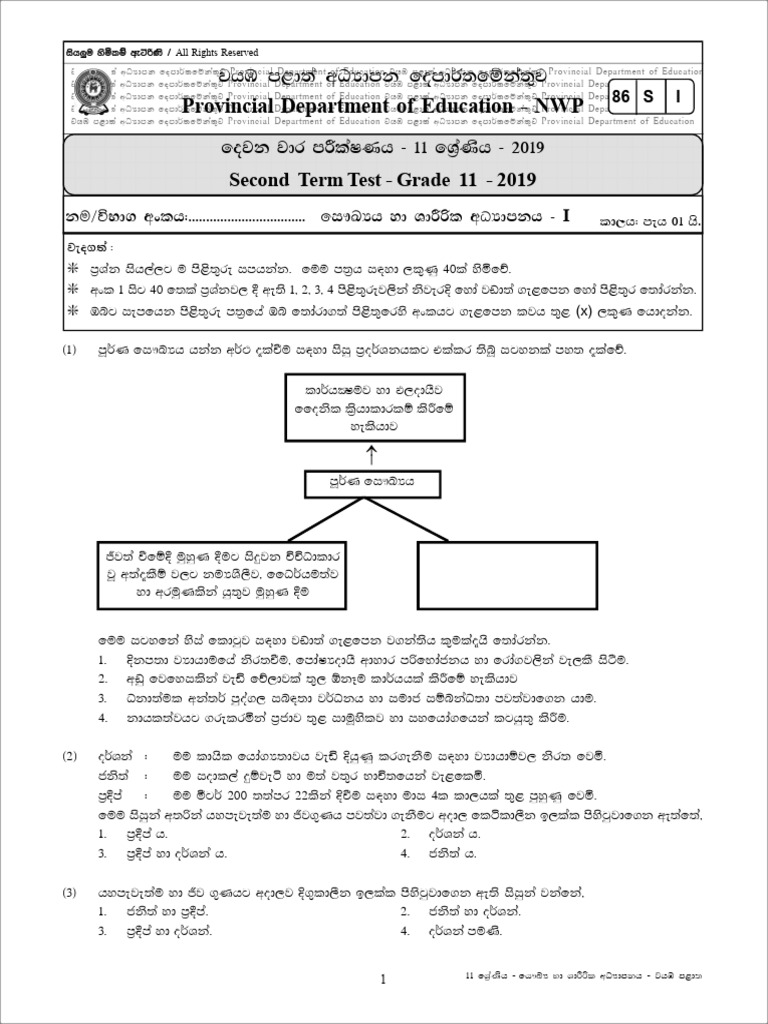 Grade 11 Health 2nd Term Papers | PDF