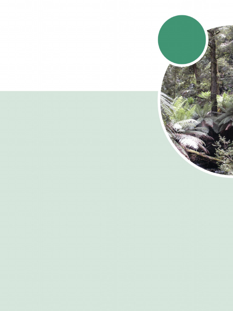 Lindell Bromham - Marcel Cardillo - Origins of Biodiversity - Capitulo ...