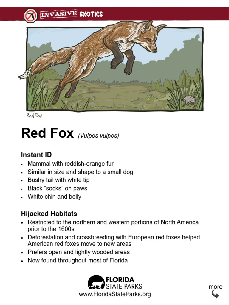 Red Fox Critter Sheet | PDF