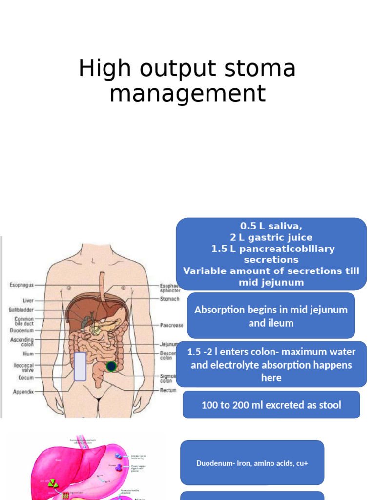Stoma Management for Patients | PDF | Vitamin B12 | Dehydration