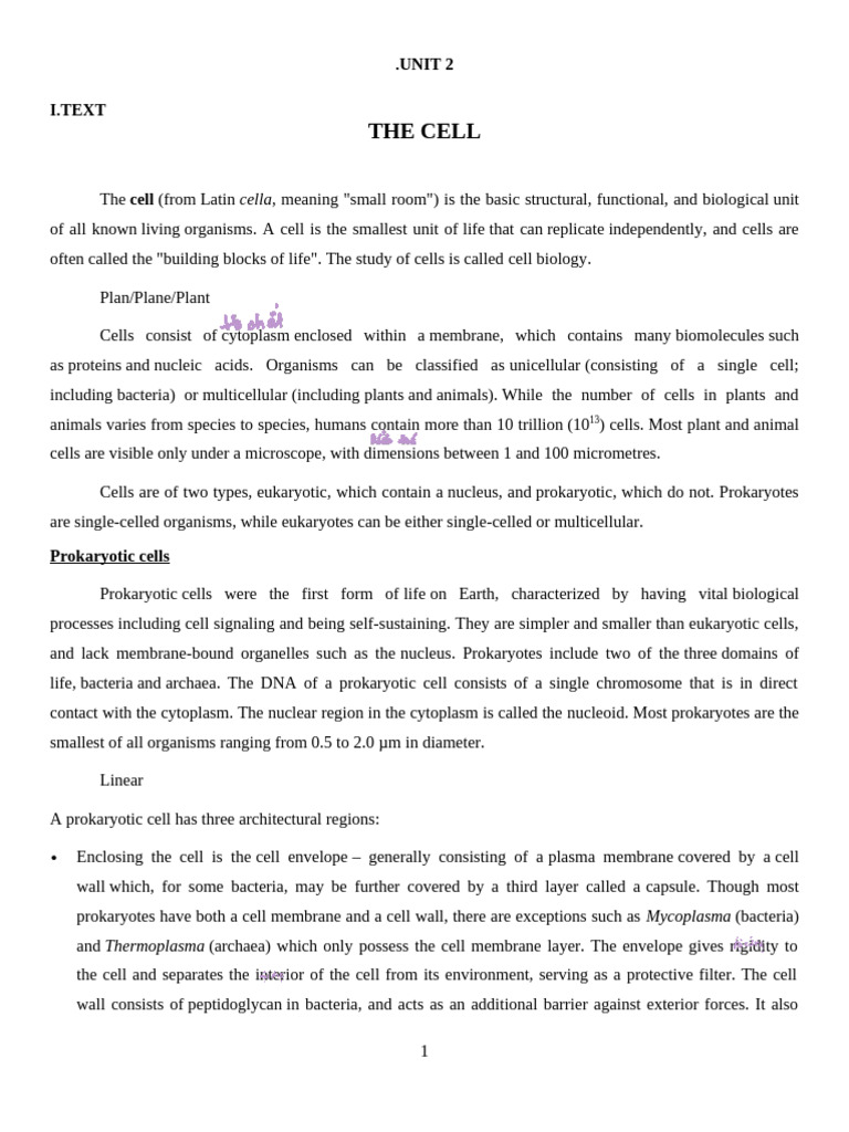 Understanding Cell Structure and Function | PDF | Cell (Biology ...
